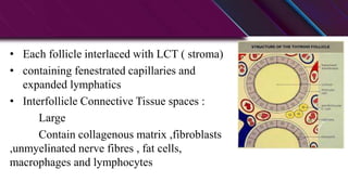 Anatomy and physiology of thyroid and parathyroid glands.pptx