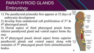 Anatomy and physiology of thyroid and parathyroid glands.pptx