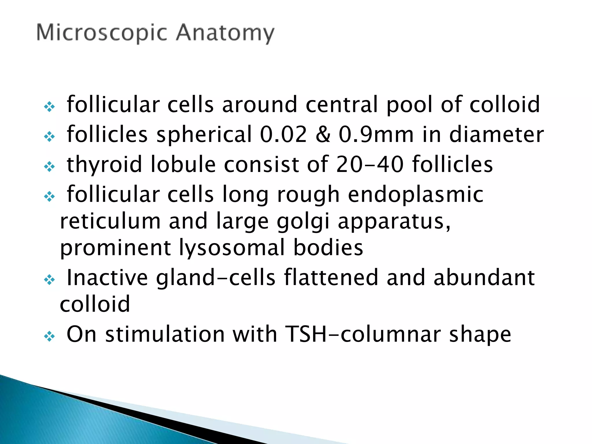 Anatomy and physiology of thyroid gland | PPTX