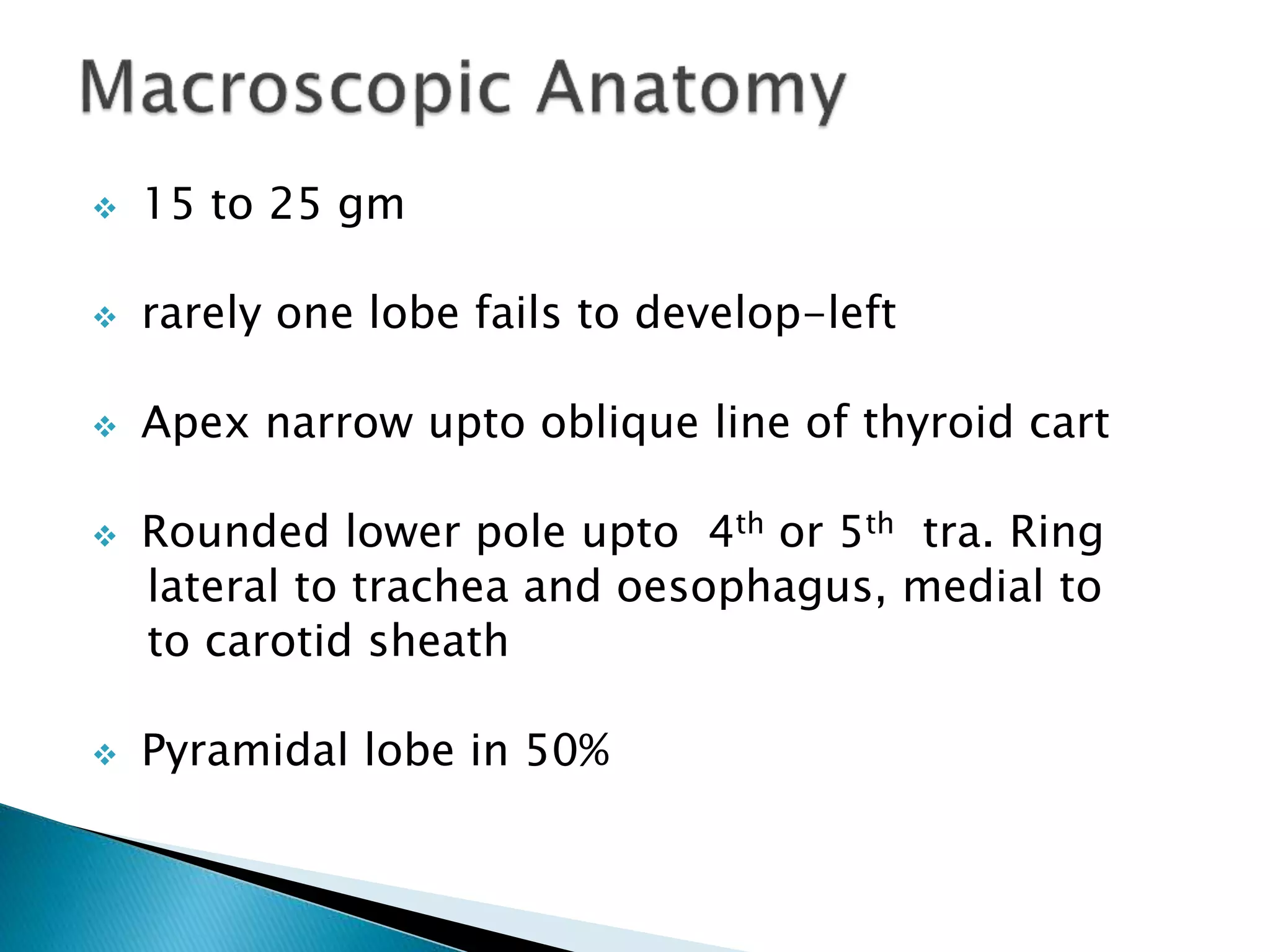 Anatomy and physiology of thyroid gland | PPTX