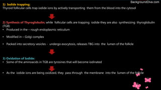 Anatomy and physiology of thyroid gland | PPTX