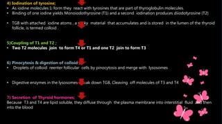 Anatomy and physiology of thyroid gland | PPTX