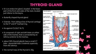 Anatomy and physiology of thyroid gland | PPTX