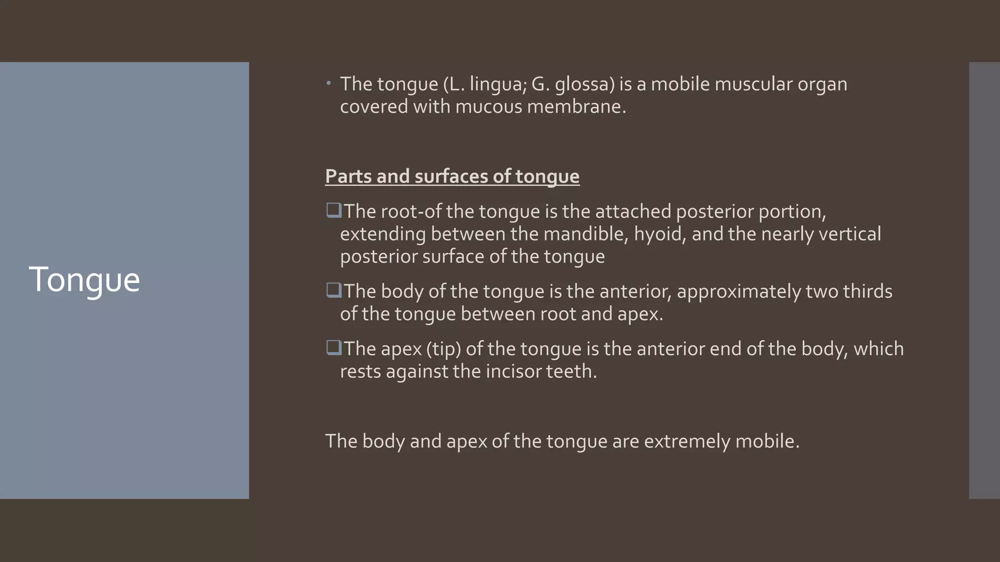 Anatomy and physiology of upper gi tract | PPTX