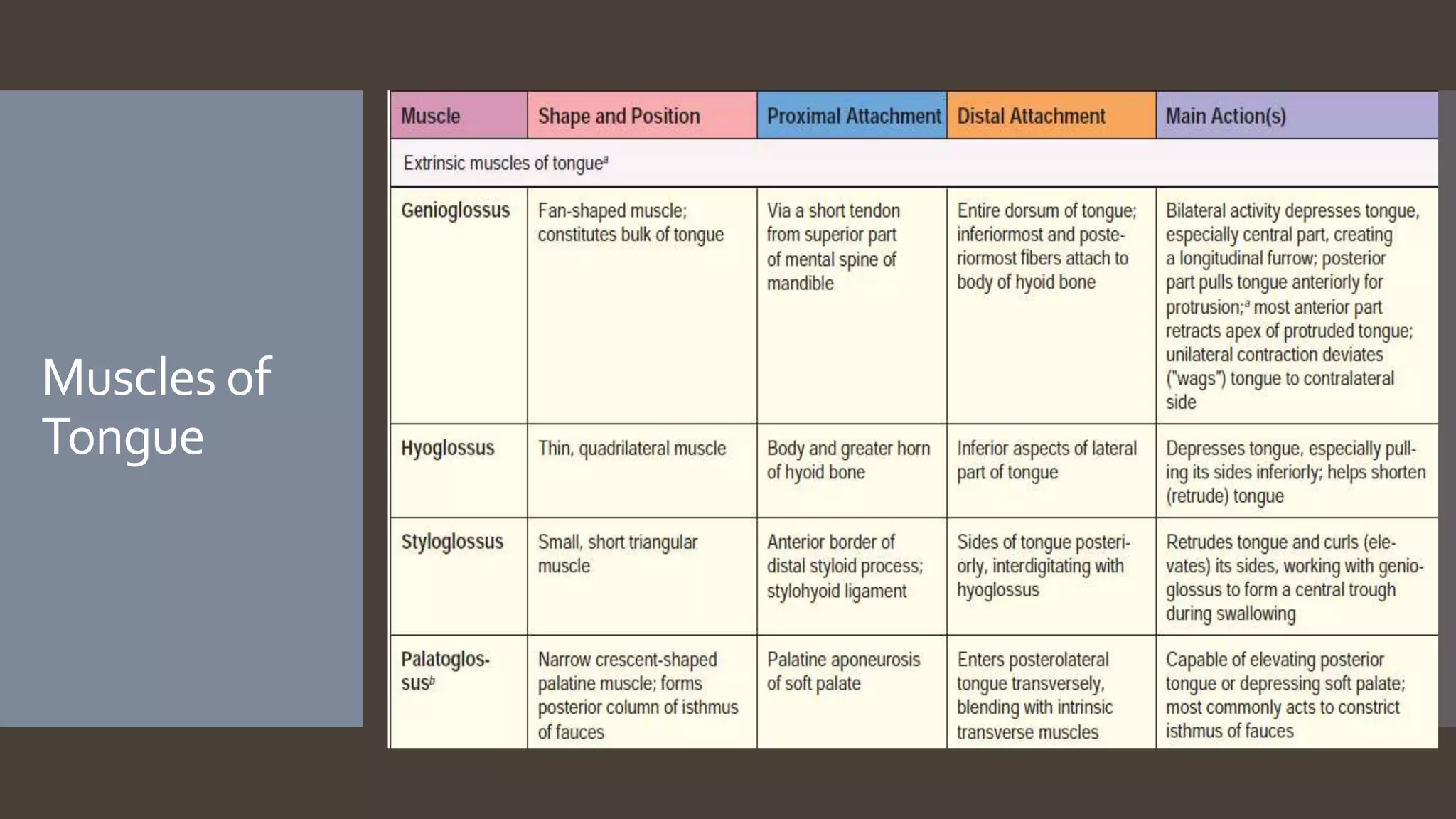 Anatomy and physiology of upper gi tract | PPTX