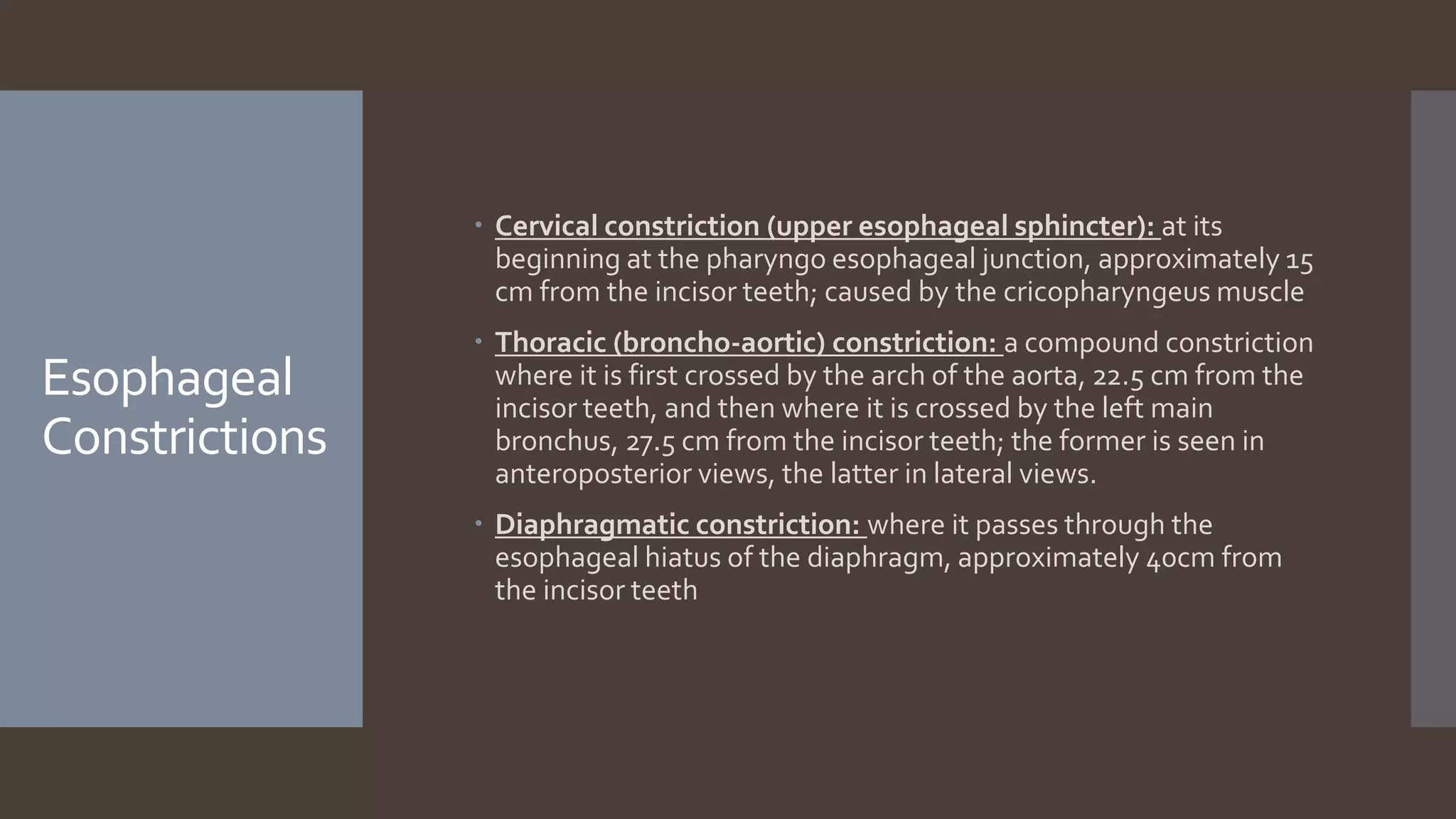 Anatomy and physiology of upper gi tract | PPTX