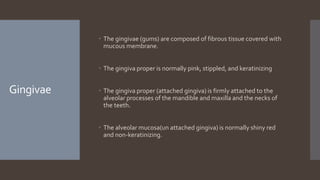 Anatomy and physiology of upper gi tract | PPTX