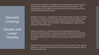 Anatomy and physiology of upper gi tract | PPTX