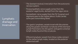 Anatomy and physiology of upper gi tract | PPTX