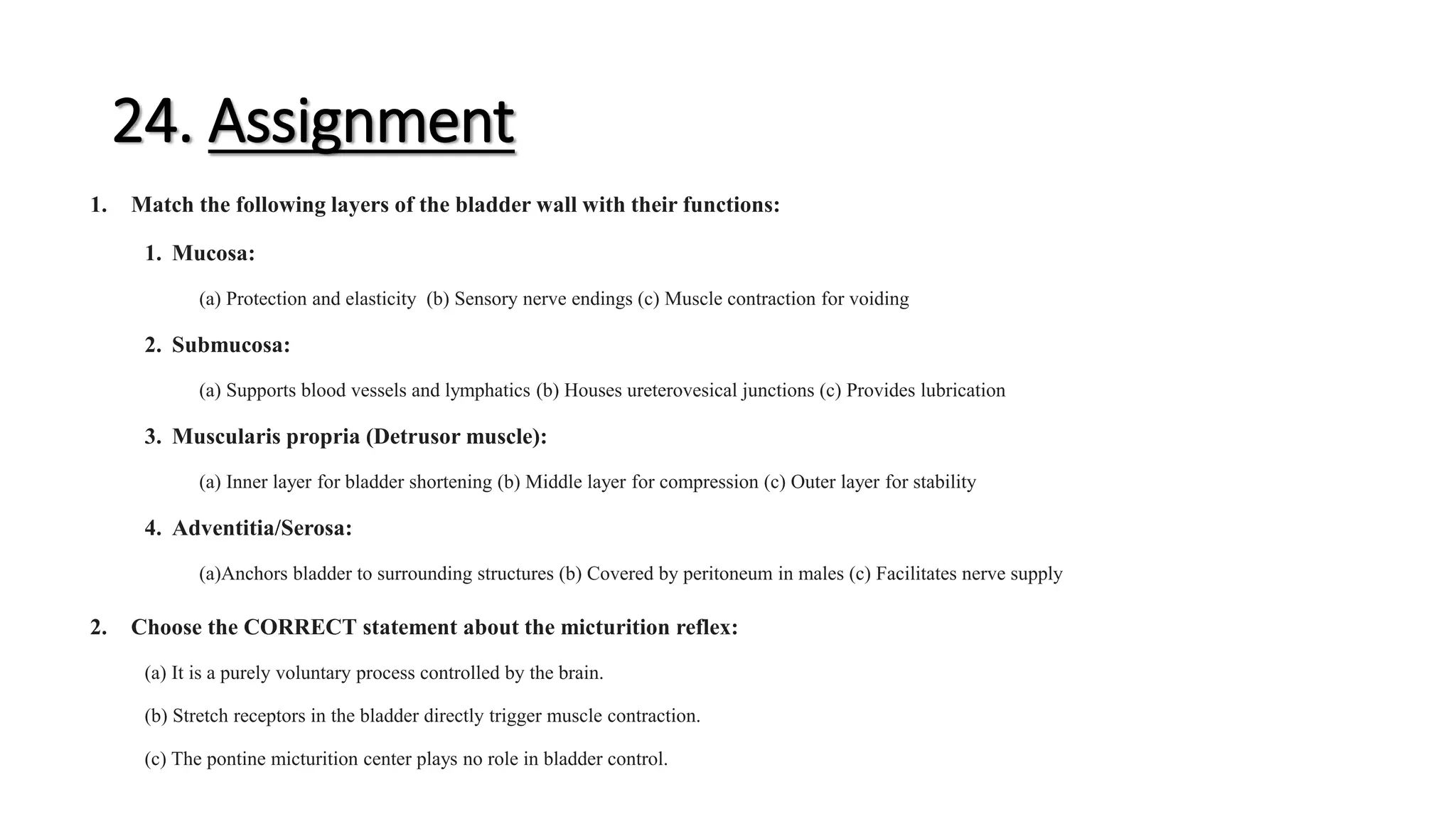 Anatomy and physiology of urinary bladder | PPTX