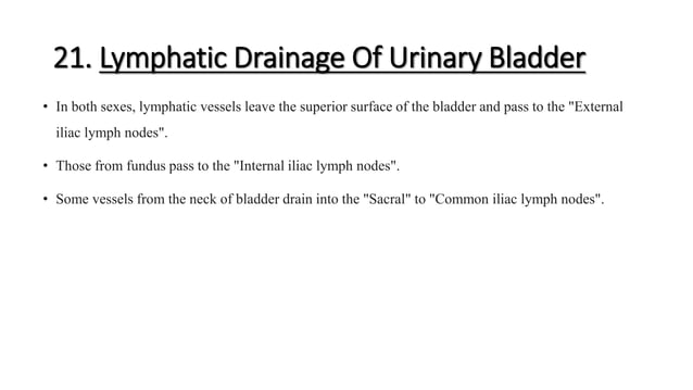 Anatomy and physiology of urinary bladder | PPT