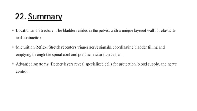 Anatomy and physiology of urinary bladder | PPT
