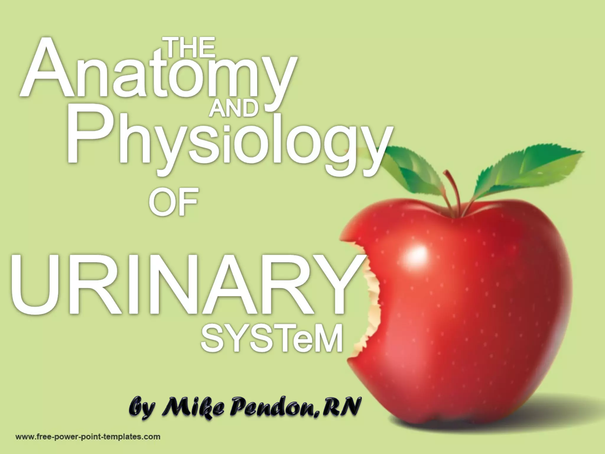 Anatomy and physiology of urinary system | PPT