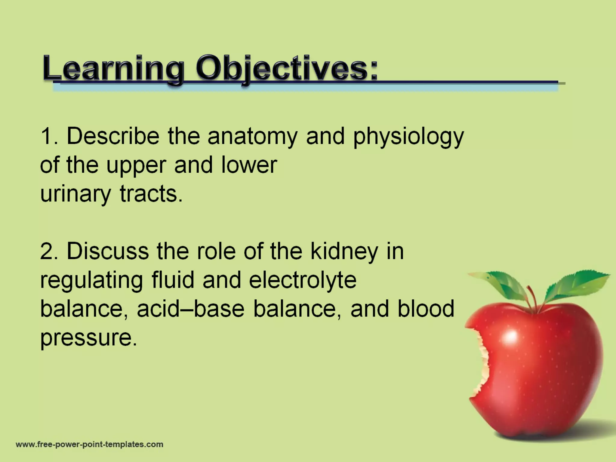 Anatomy and physiology of urinary system | PPT