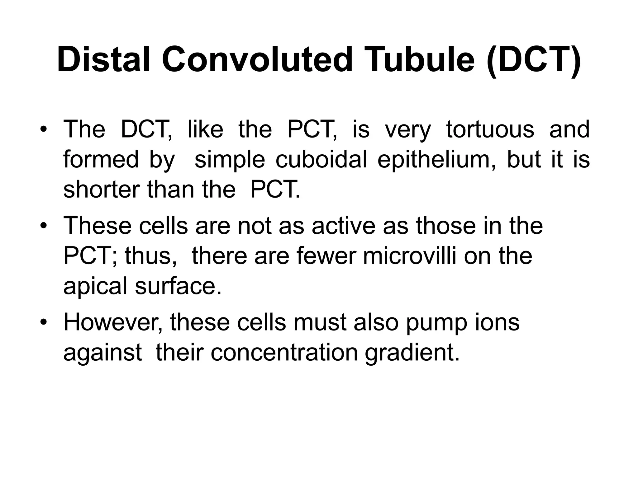 Anatomy and physiology of urinary system | PPTX