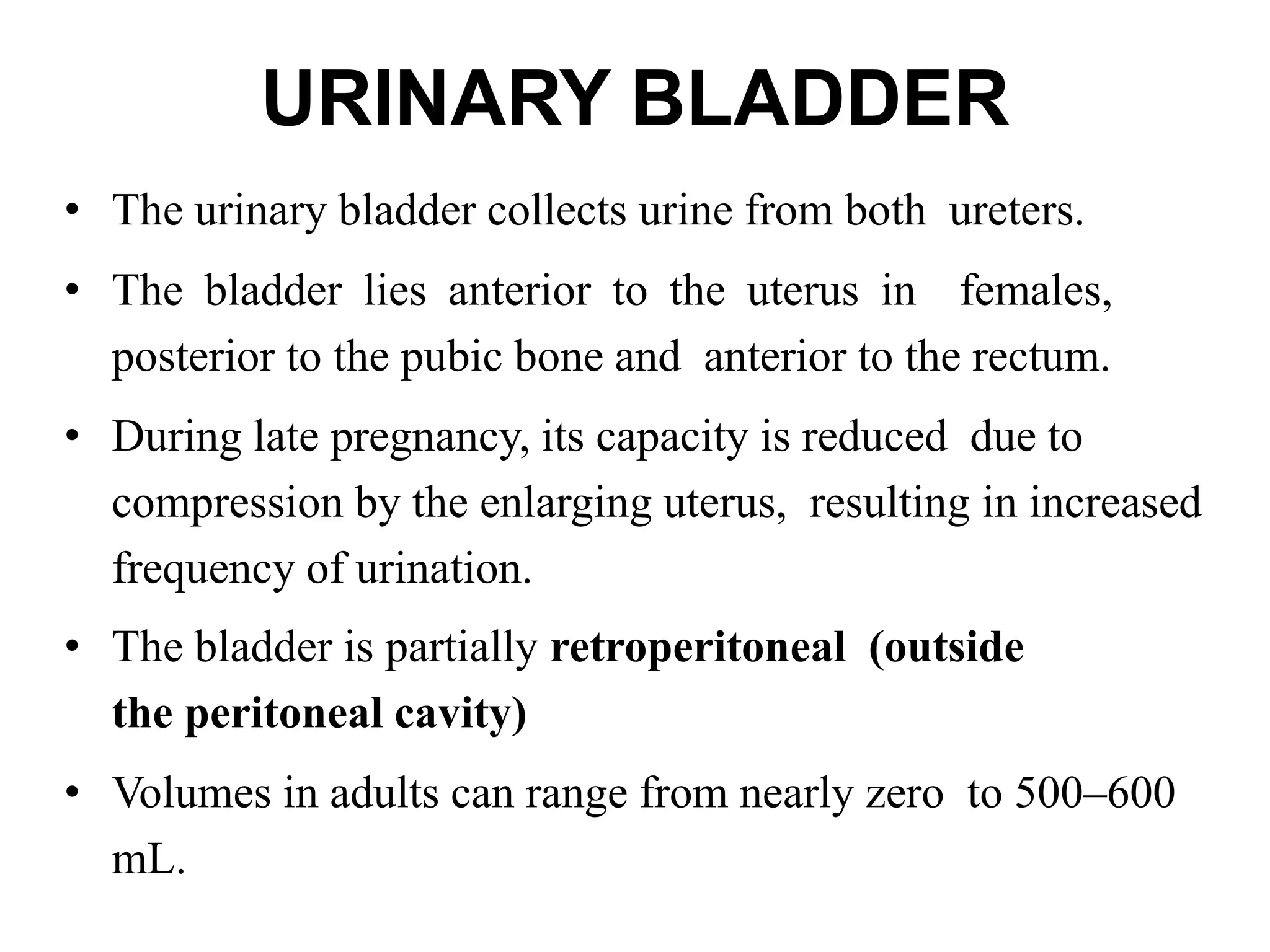 Anatomy and physiology of urinary system | PPTX