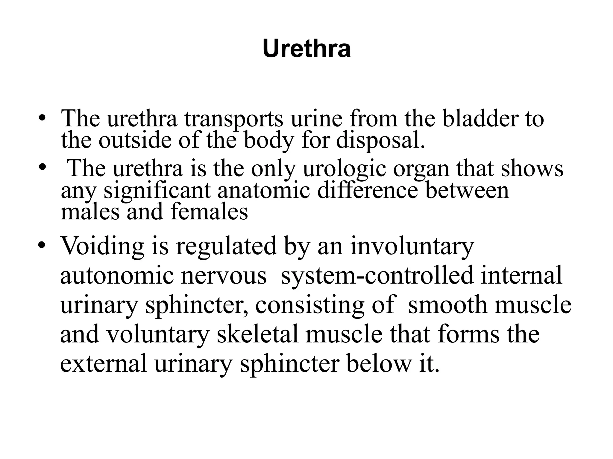 Anatomy and physiology of urinary system | PPTX