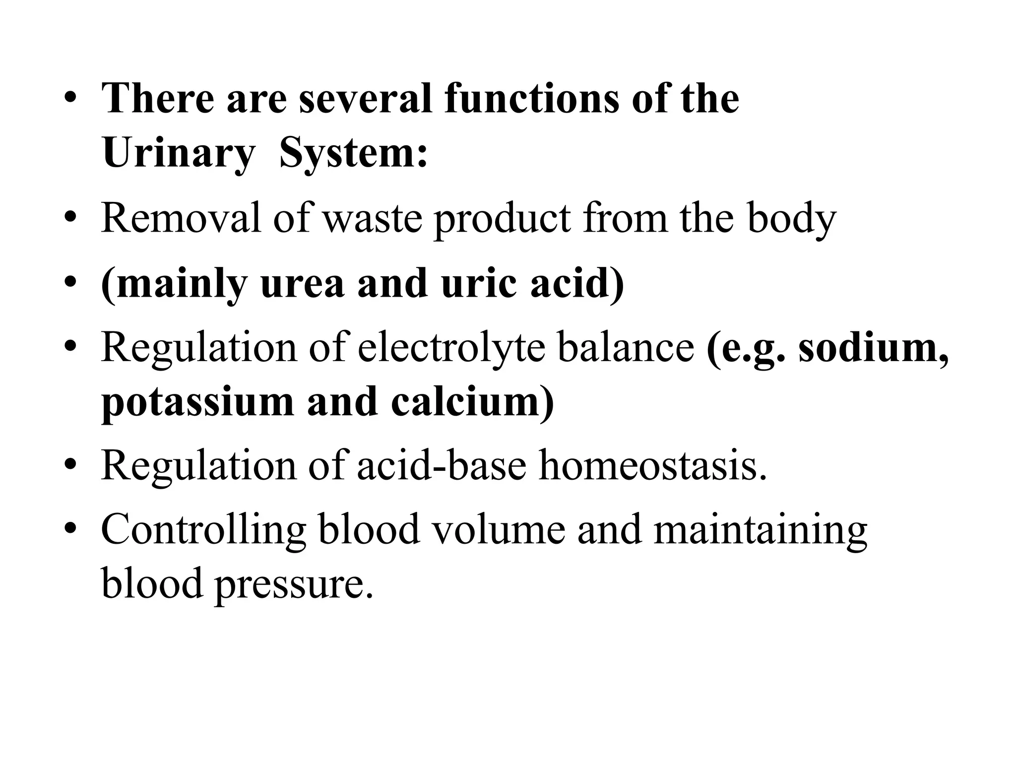 Anatomy and physiology of urinary system | PPTX