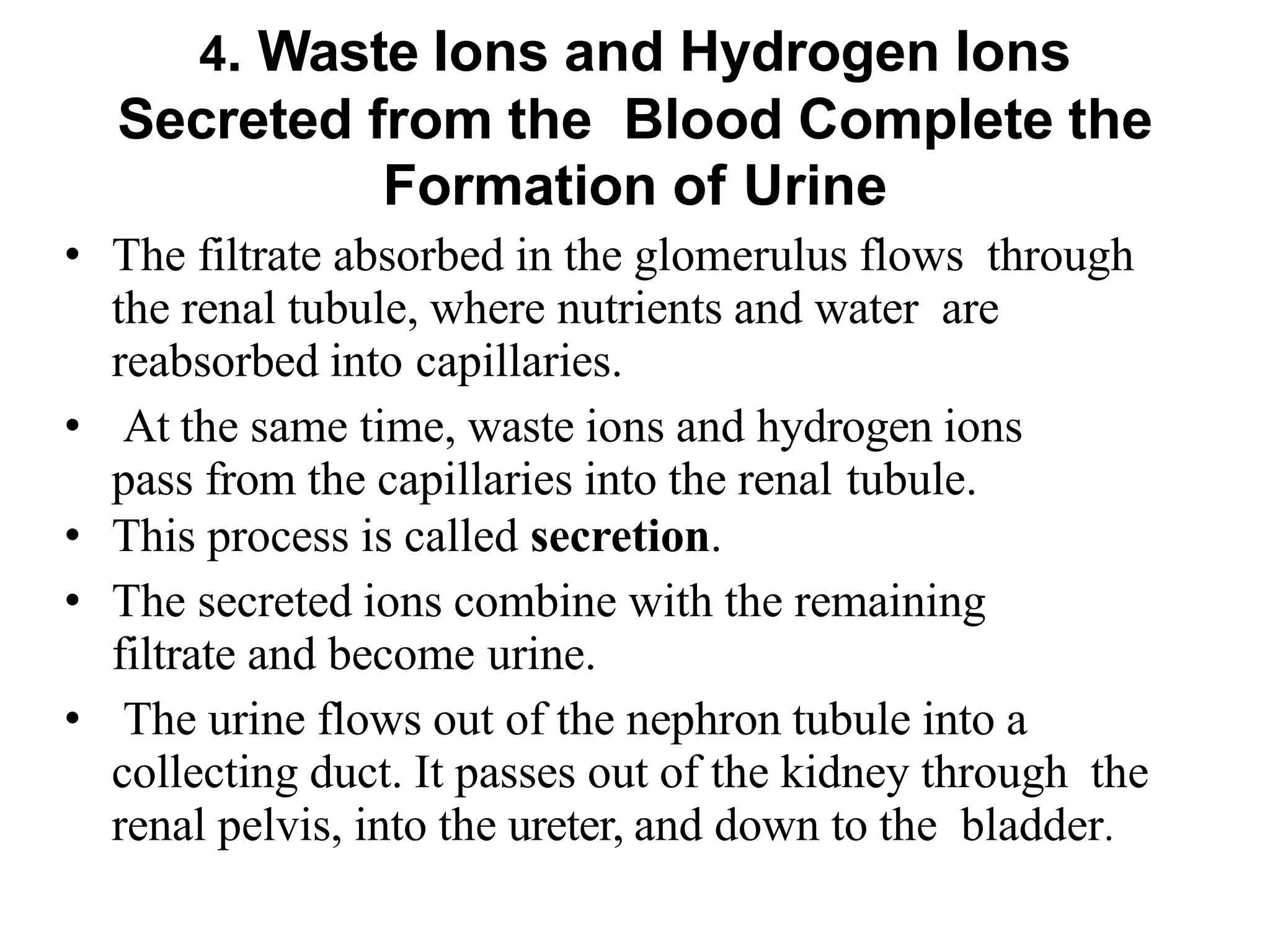 Anatomy and physiology of urinary system | PPTX