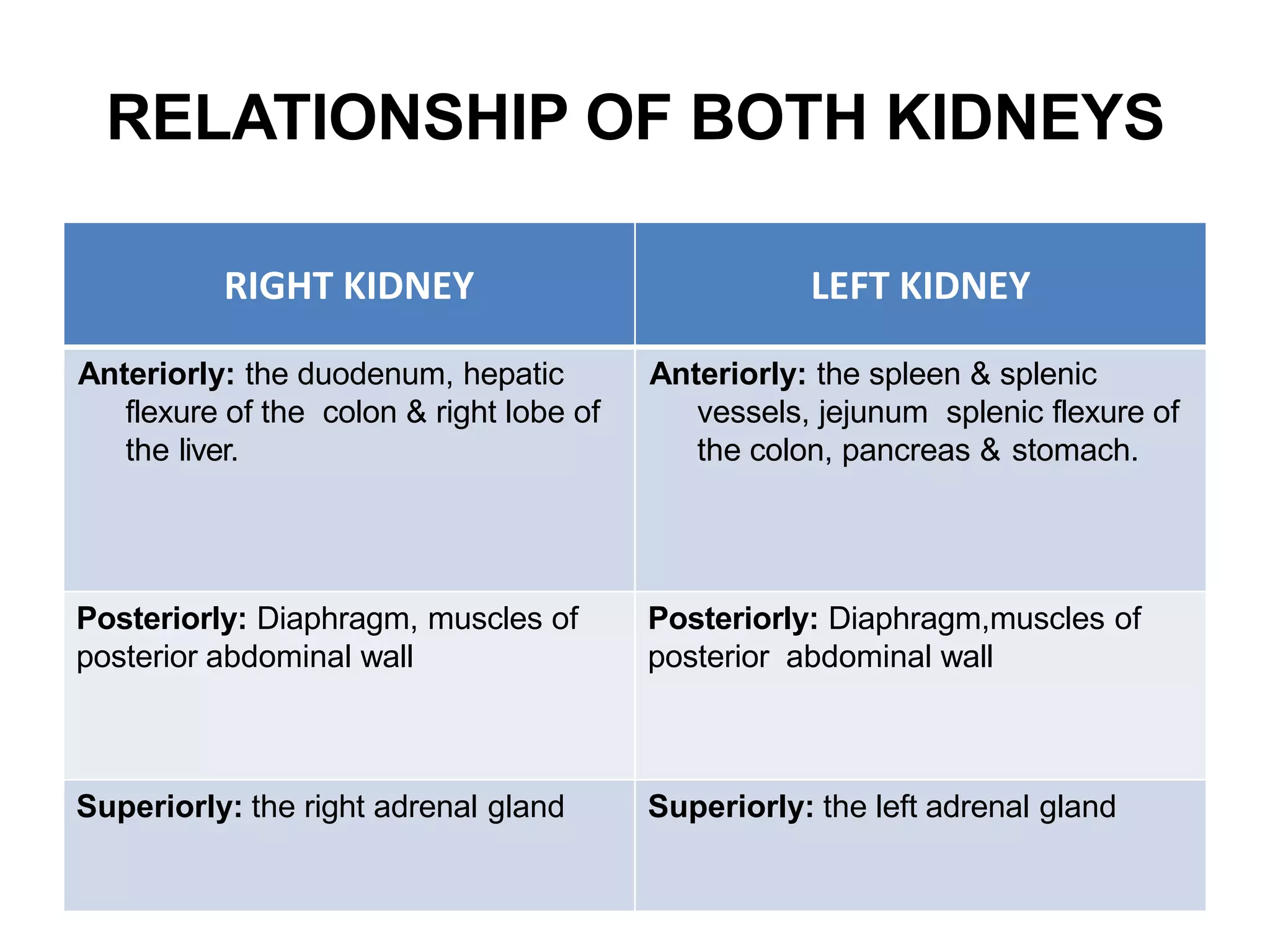 Anatomy and physiology of urinary system | PPTX
