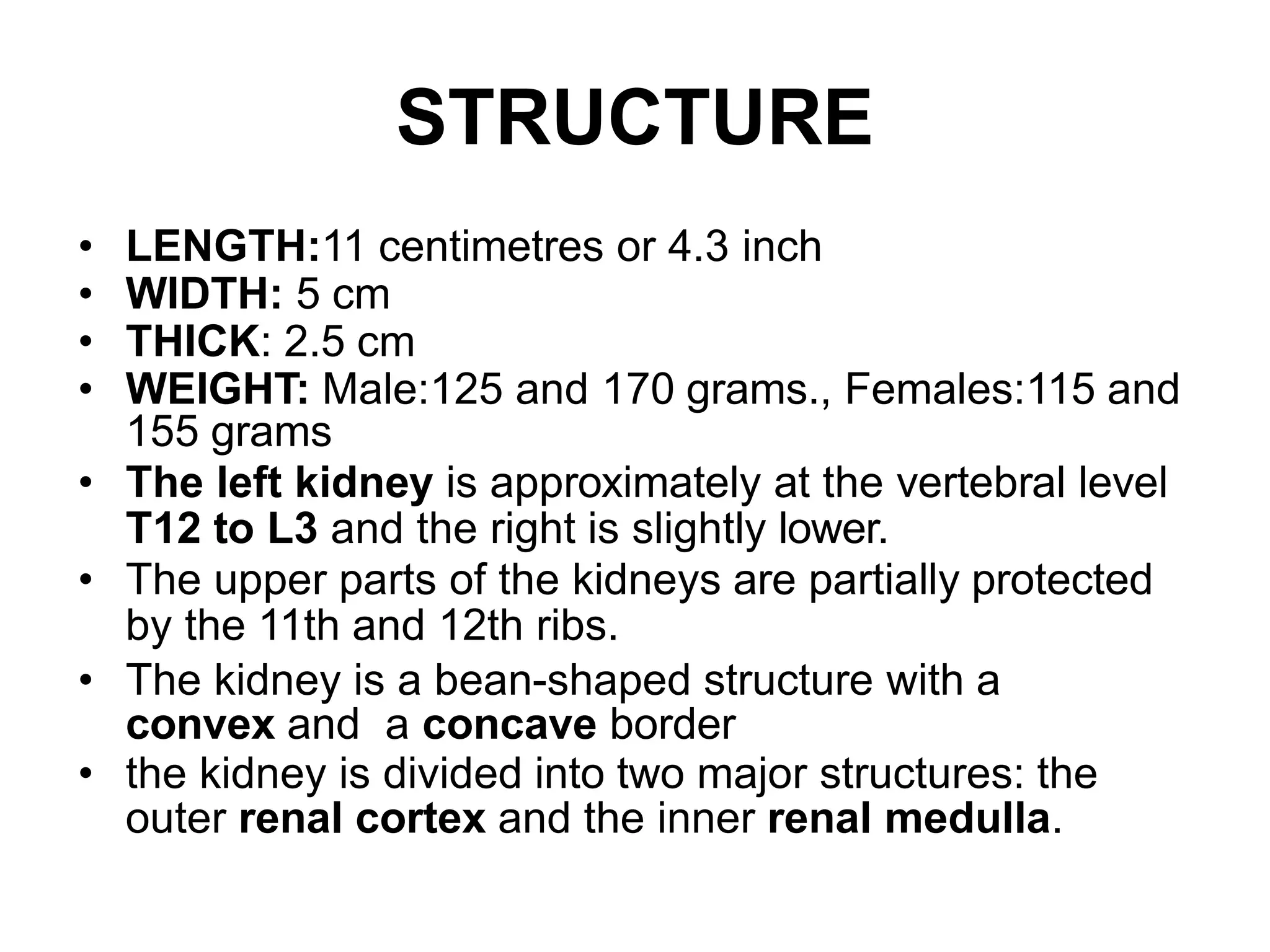 Anatomy and physiology of urinary system | PPTX
