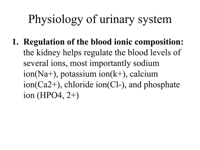 Anatomy and physiology of urinary system | PPT