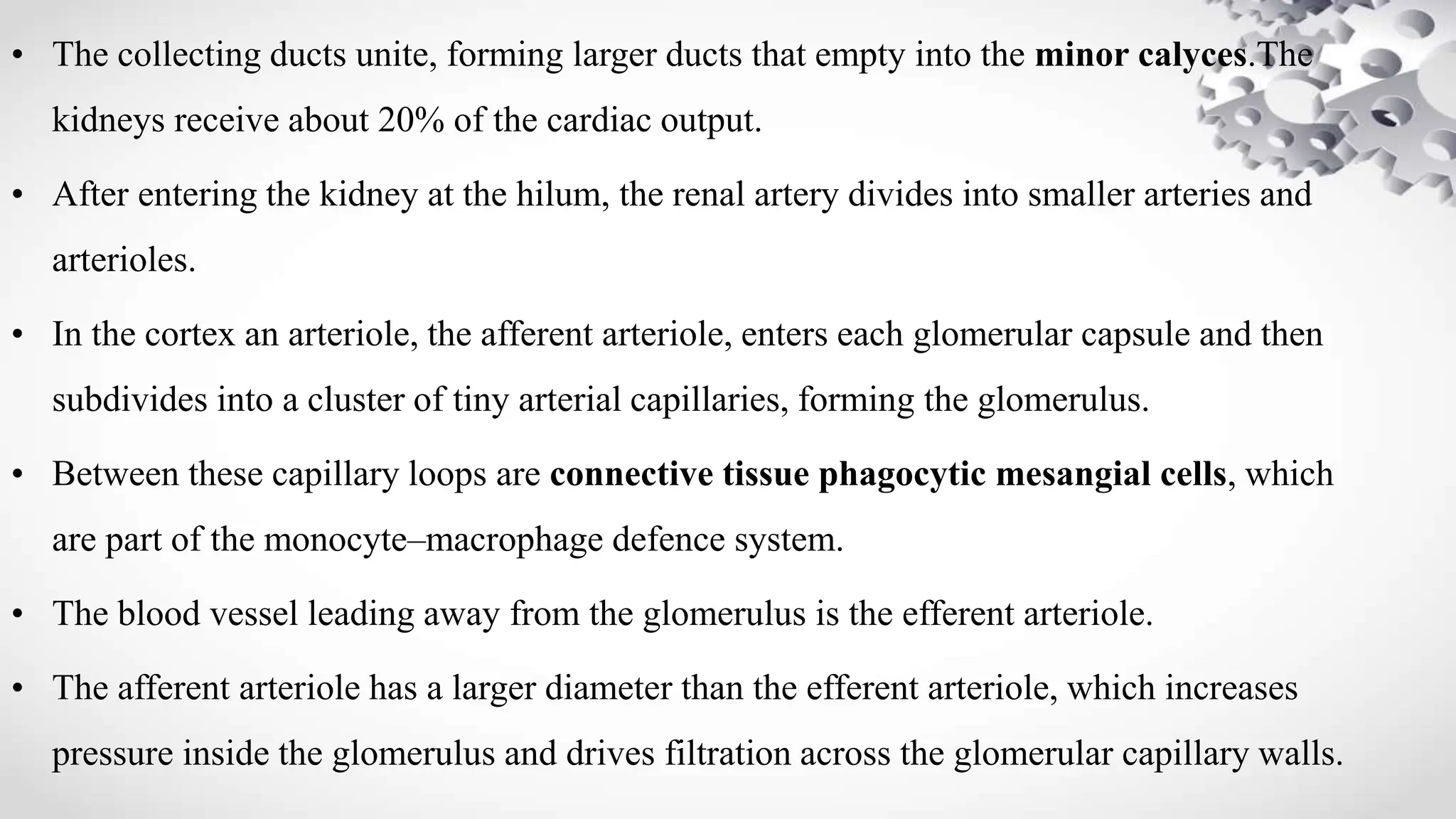 ANATOMY AND PHYSIOLOGY OF URINARY SYSTEM.pptx