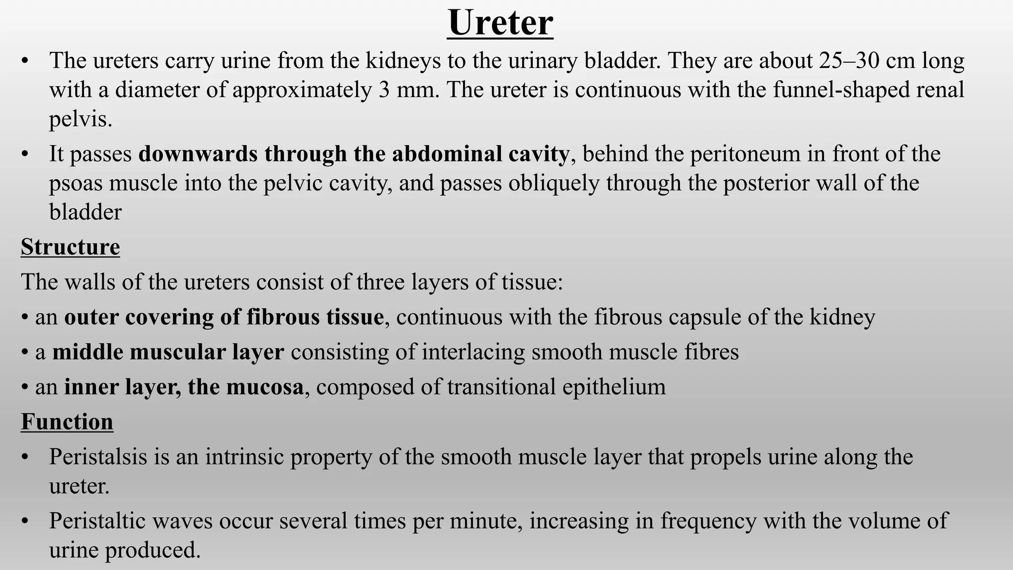 ANATOMY AND PHYSIOLOGY OF URINARY SYSTEM.pptx