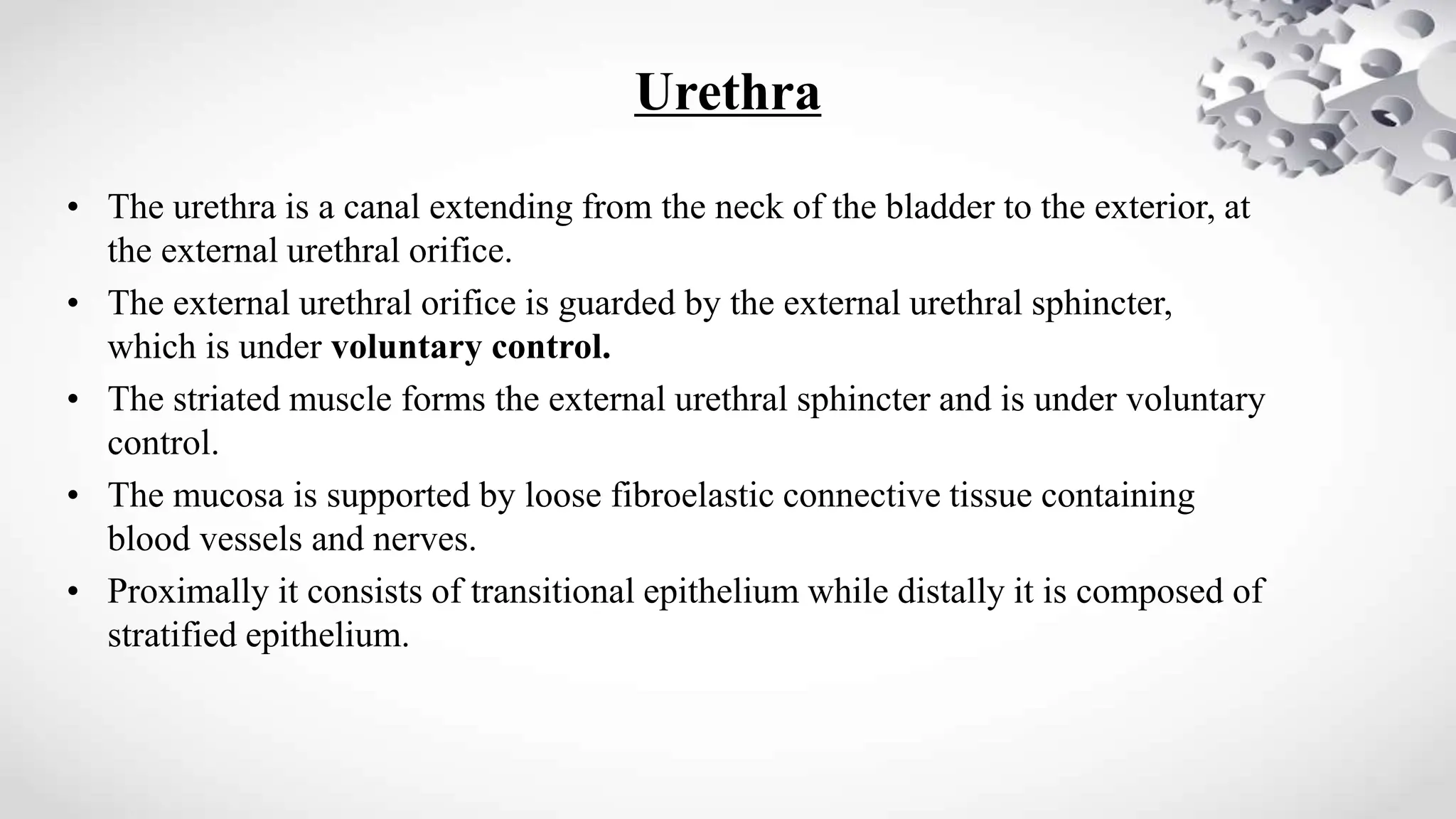 ANATOMY AND PHYSIOLOGY OF URINARY SYSTEM.pptx