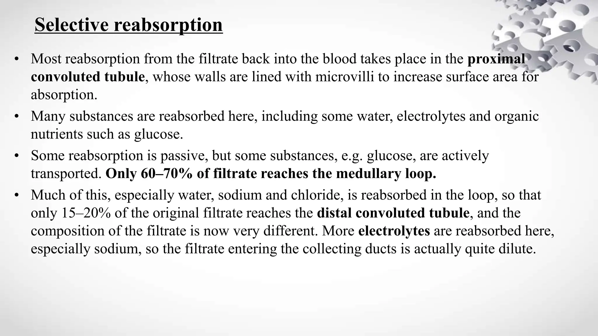 ANATOMY AND PHYSIOLOGY OF URINARY SYSTEM.pptx