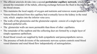 ANATOMY AND PHYSIOLOGY OF URINARY SYSTEM.pptx