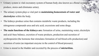 ANATOMY AND PHYSIOLOGY OF URINARY SYSTEM.pptx