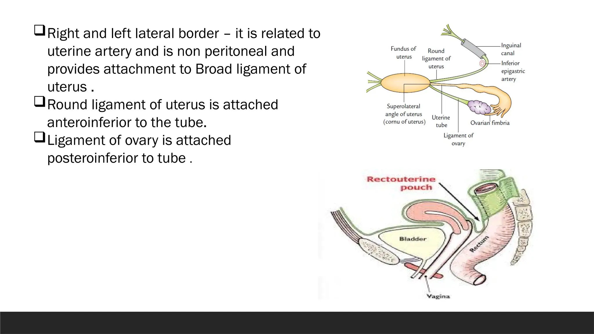 Anatomy of Uterus and physiology of Uterus | PPTX