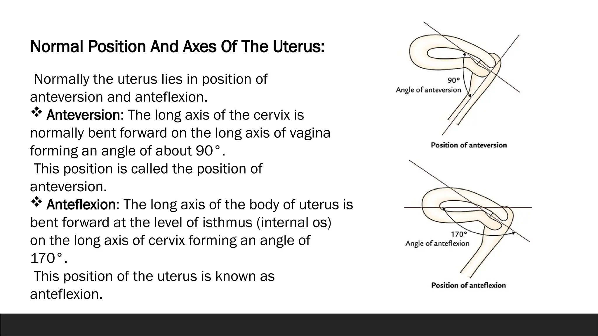 Anatomy of Uterus and physiology of Uterus | PPTX