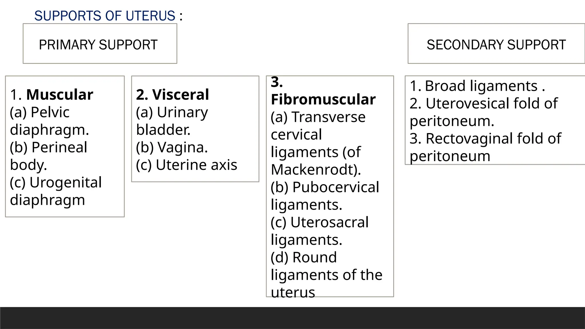 Anatomy of Uterus and physiology of Uterus | PPTX