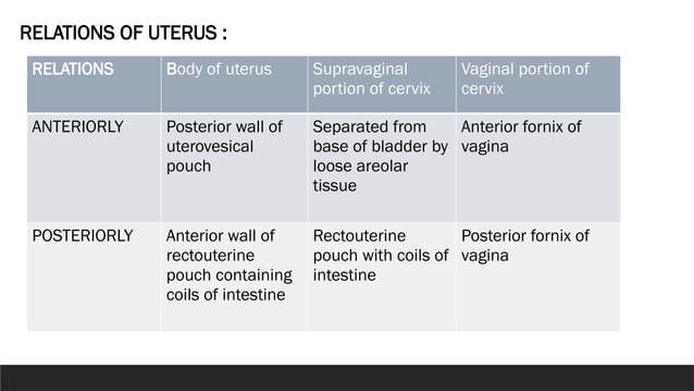 Anatomy of Uterus and physiology of Uterus | PPTX