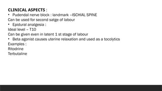 Anatomy of Uterus and physiology of Uterus | PPTX