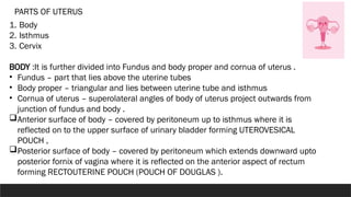 Anatomy of Uterus and physiology of Uterus | PPTX