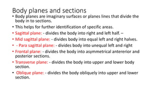 Anatomy and Physiology part I.pptx