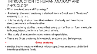 Anatomy and Physiology part I.pptx