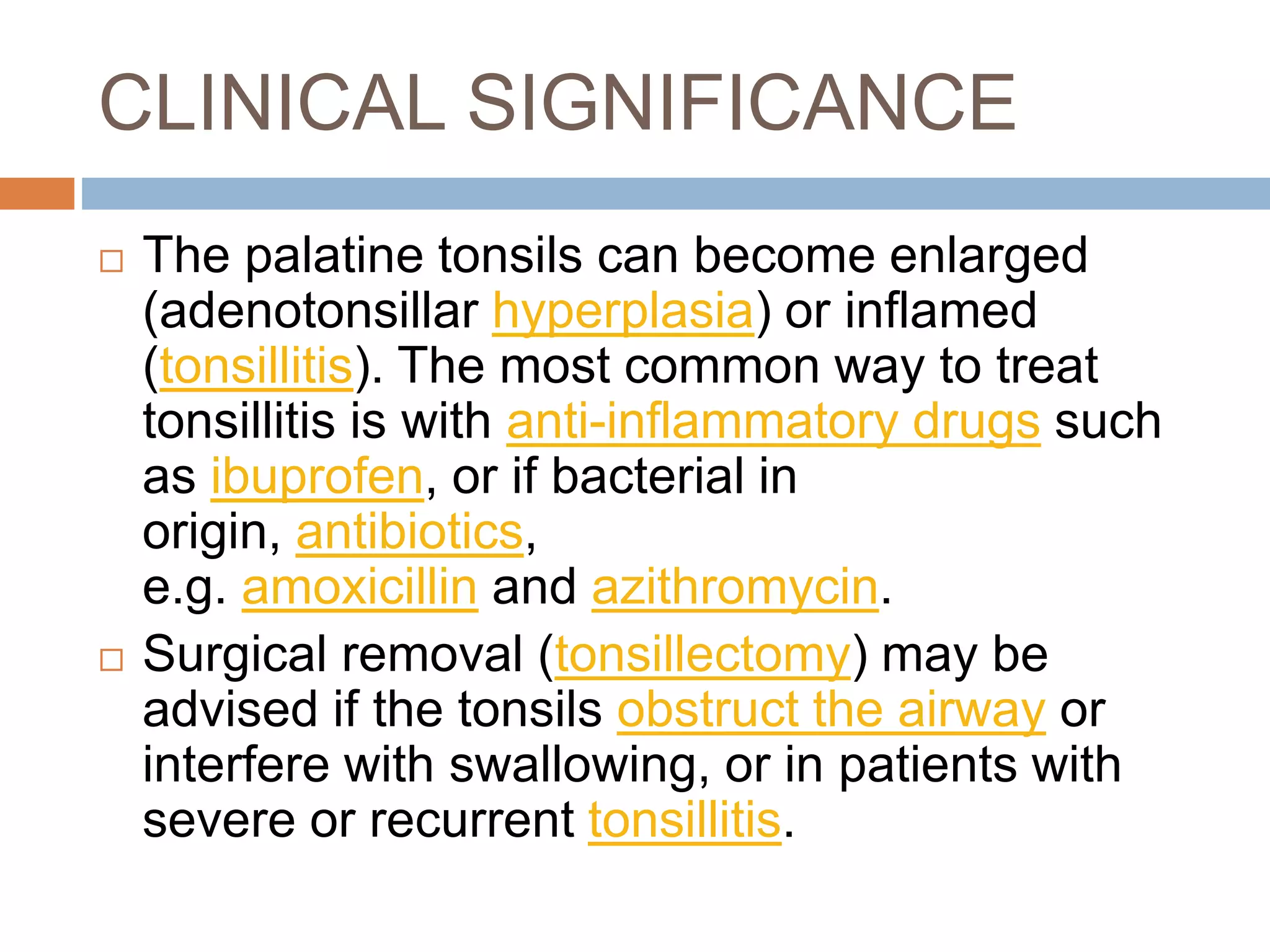 Anatomy and physiology tonsils | PPTX
