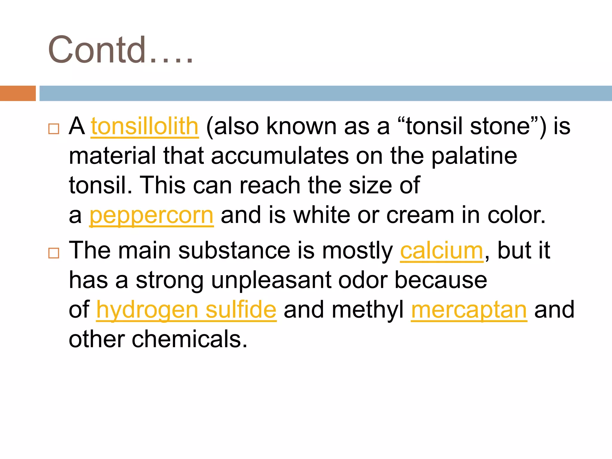 Anatomy and physiology tonsils | PPTX