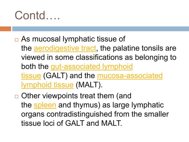 Anatomy and physiology tonsils | PPTX | Ear, Nose and Throat Conditions ...