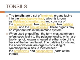 Anatomy and physiology tonsils | PPTX