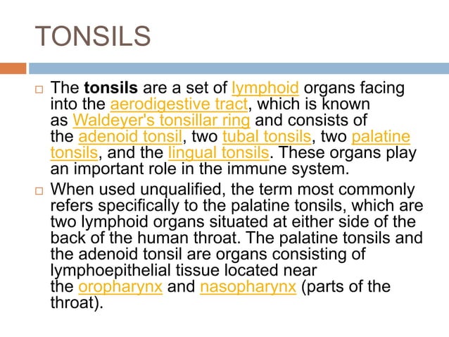Anatomy and physiology tonsils | PPTX | Ear, Nose and Throat Conditions ...