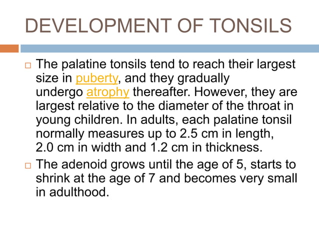 Anatomy and physiology tonsils | PPTX | Ear, Nose and Throat Conditions ...