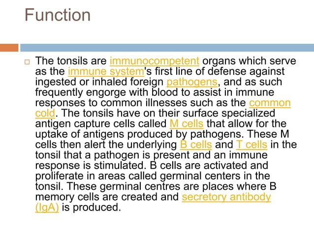 Anatomy and physiology tonsils | PPTX | Ear, Nose and Throat Conditions ...