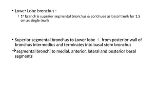 anatomy and physiology tracheobronchial tree and lungs chest wall.pptx