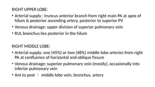 anatomy and physiology tracheobronchial tree and lungs chest wall.pptx