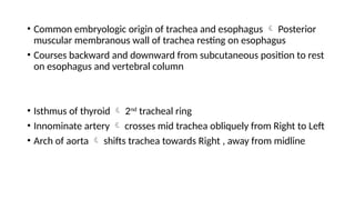 anatomy and physiology tracheobronchial tree and lungs chest wall.pptx
